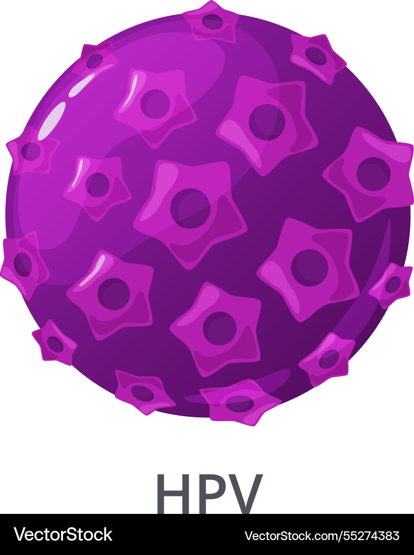 Rotating 3d model of human papillomavirus Vector Image