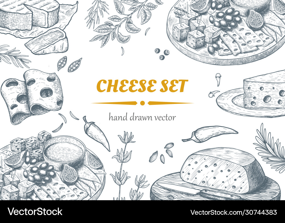 Set cheese top view frame Royalty Free Vector Image