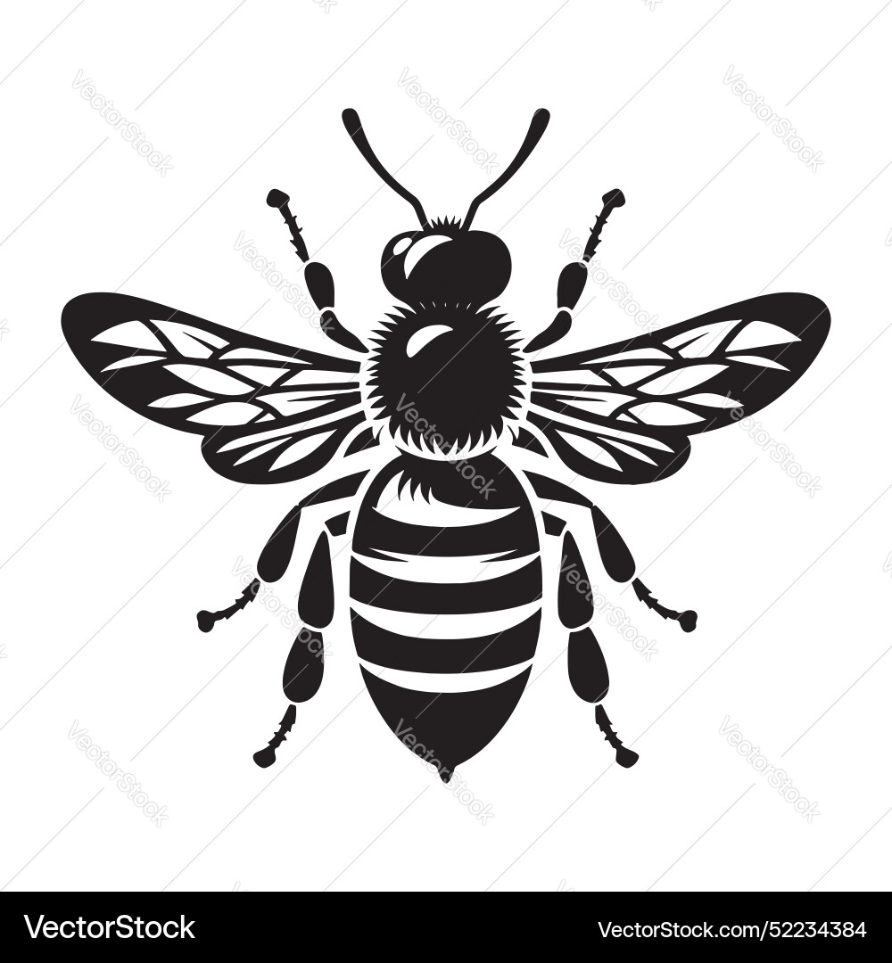 Bee silhouette Royalty Free Vector Image - VectorStock