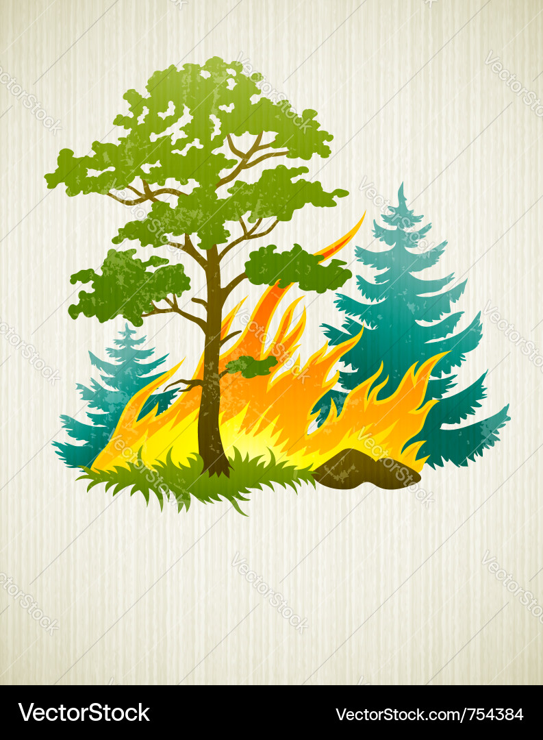 Wildfire disaster Royalty Free Vector Image - VectorStock