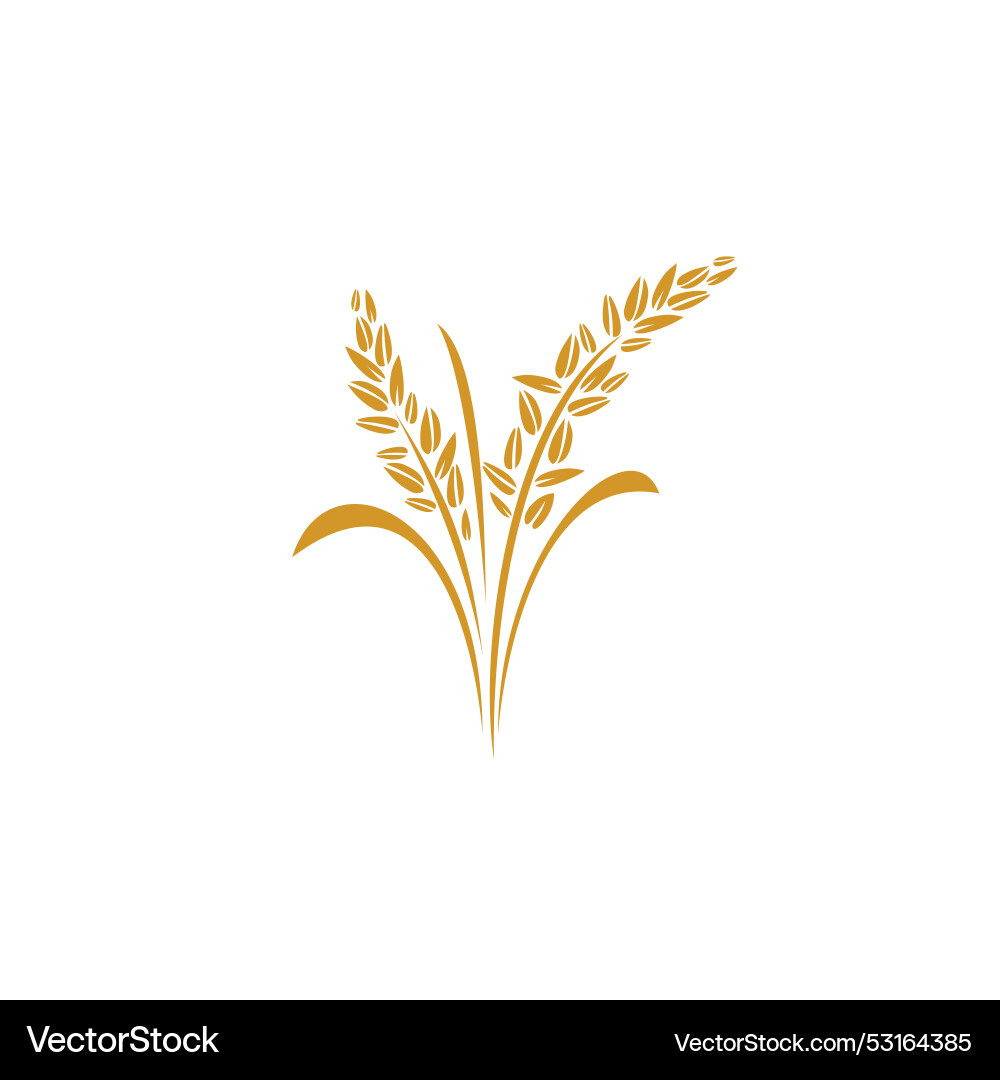 Rice plant logo rice icon Royalty Free Vector Image