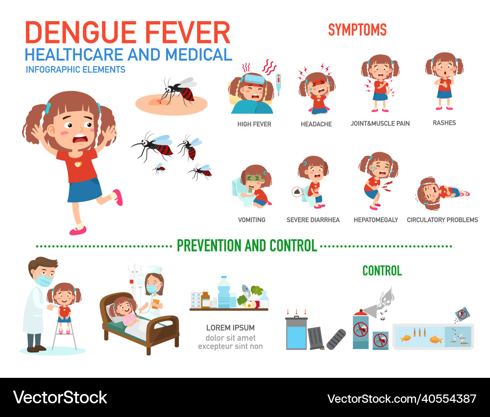Dengue fever infographics Royalty Free Vector Image