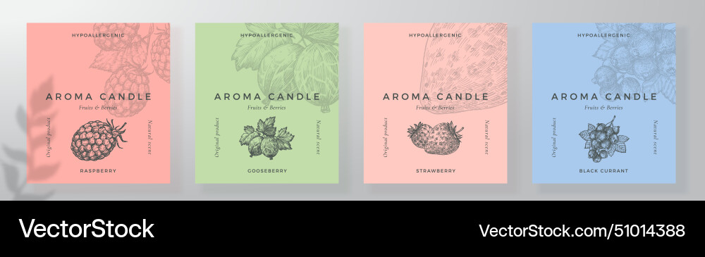 Aroma candle label design templates set scented Vector Image