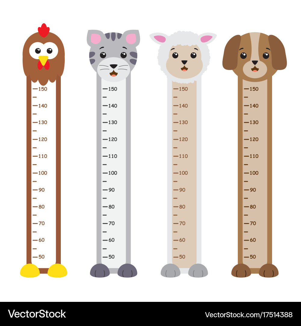 Bumper children meter wall Royalty Free Vector Image