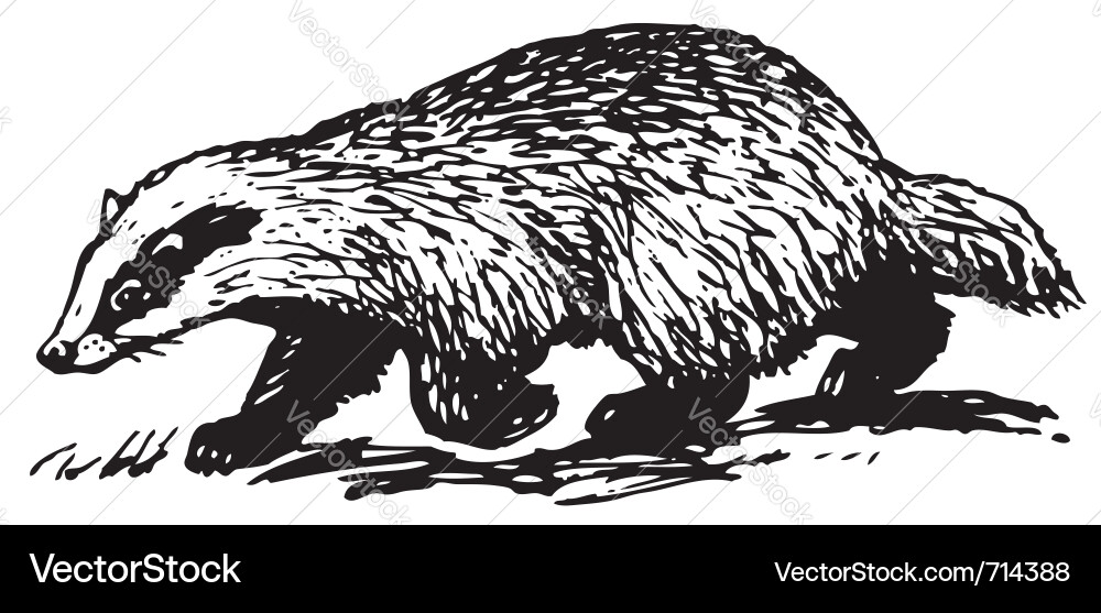 Brock Vector Images (over 120)