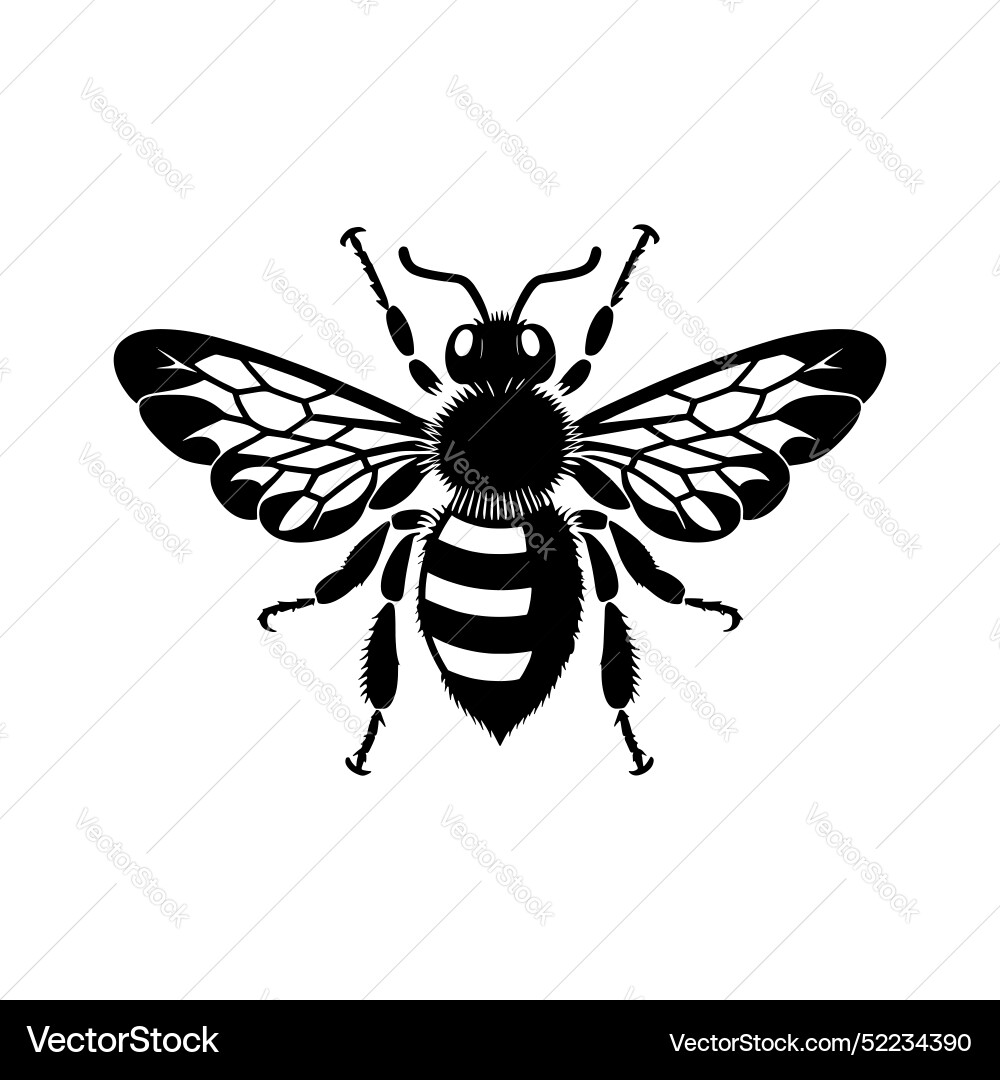 Bee silhouette Royalty Free Vector Image - VectorStock