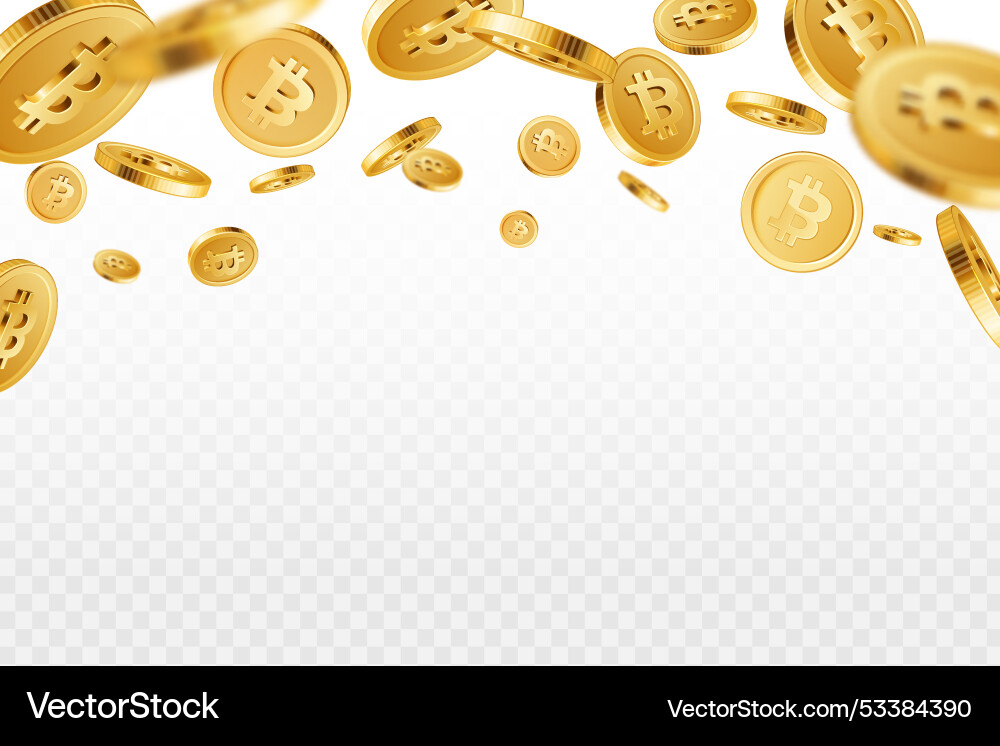 Bitcoin rain realistic golden Royalty Free Vector Image
