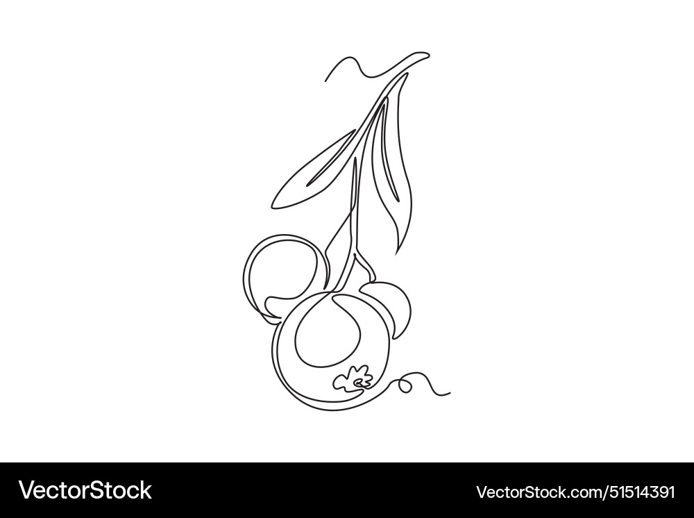 Continuous one line drawing of whole healthy Vector Image