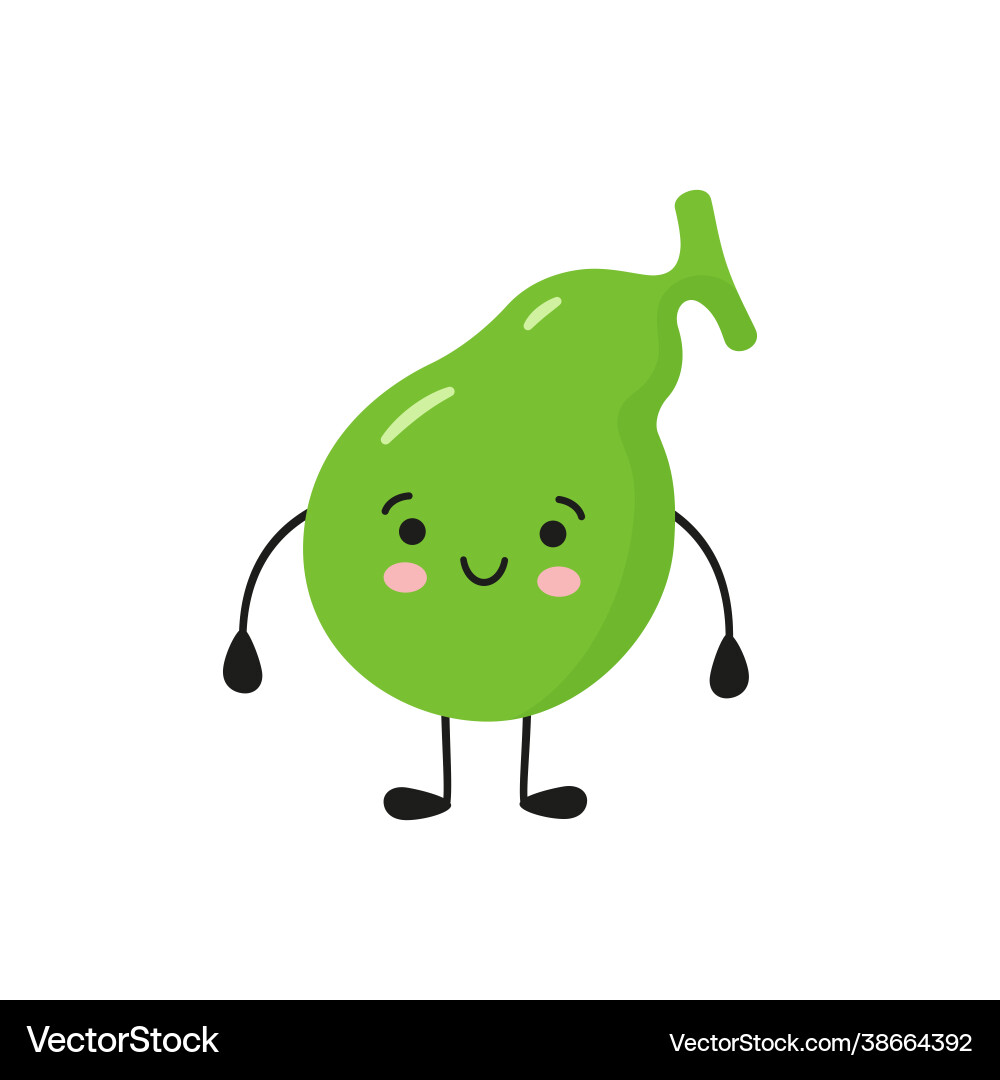 Happy healthy gallbladder isolated Royalty Free Vector Image