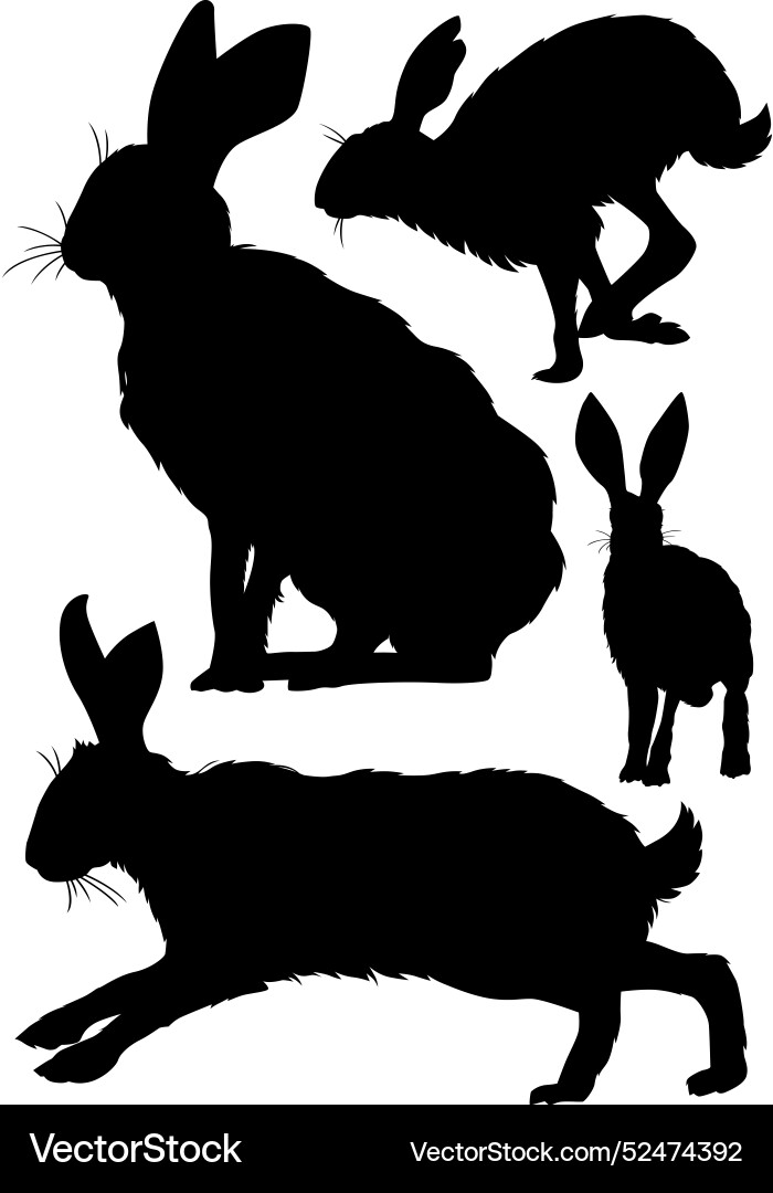 Hares Royalty Free Vector Image - VectorStock