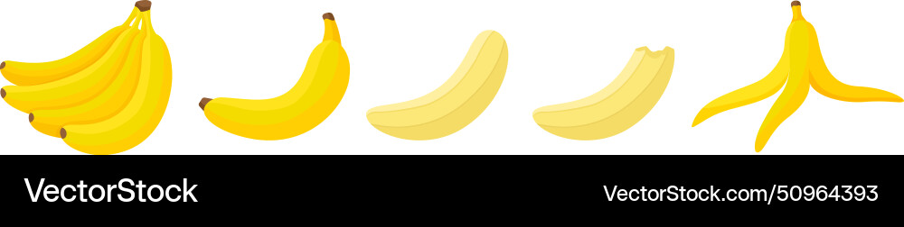Banana eating step by process bananas Royalty Free Vector