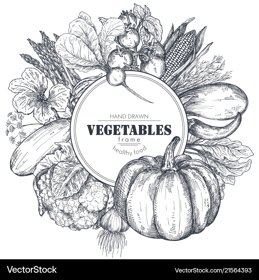 Frame with hand drawn farm vegetables Royalty Free Vector