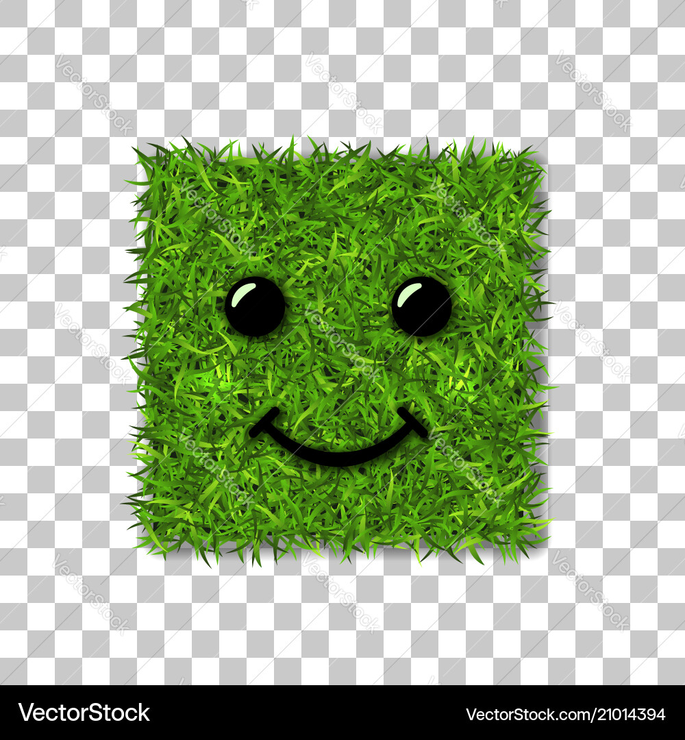 Green grass square field 3d face smile smiley Vector Image