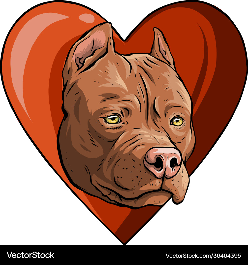 Pitbull Head in Heart Symbol Royalty Free Vector Image