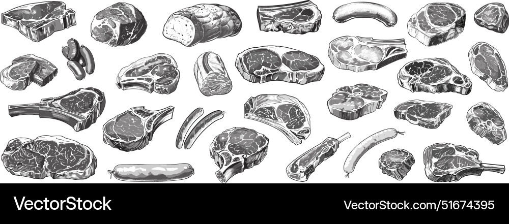 Sketch raw meat set vintage engraving beef steak Vector Image