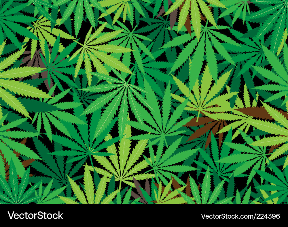 Hemp background Royalty Free Vector Image - VectorStock