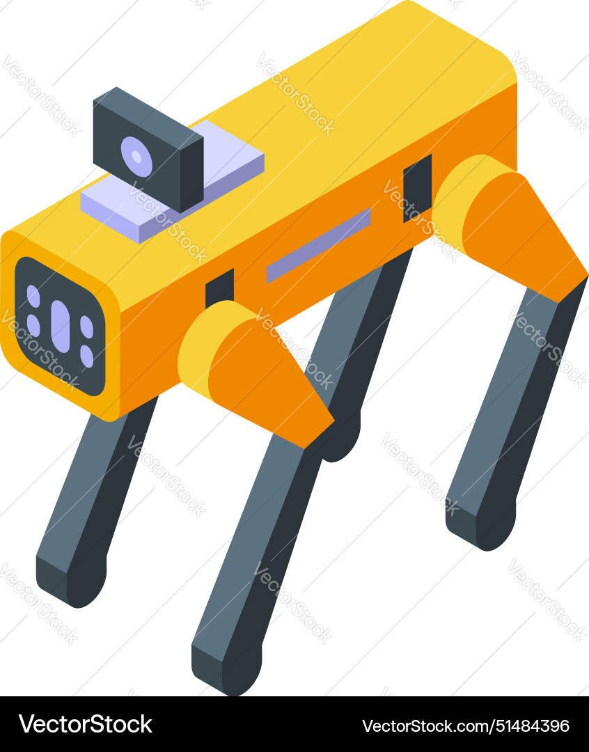 Isometric electronic distance measurement Vector Image