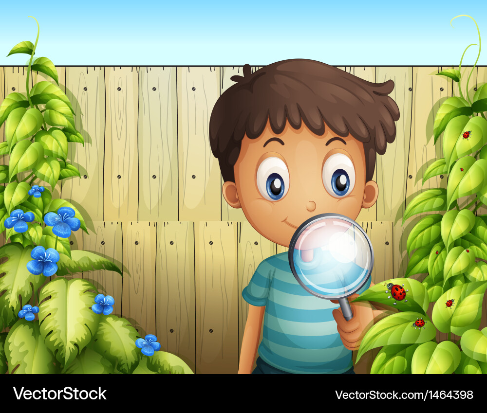 A boy holding magnifying glass to see the bugs Vector Image