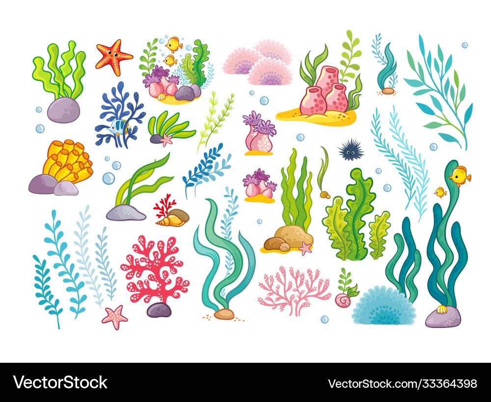 Colorful Marine Life Collection Royalty Free Vector Image