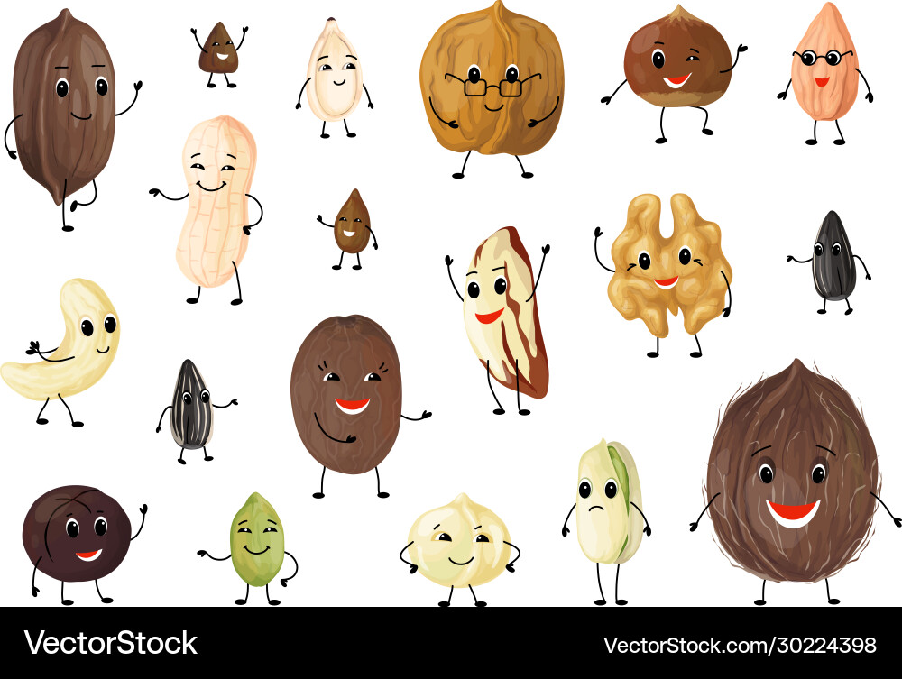 Nuts cartoon characters cute mascot persons Vector Image