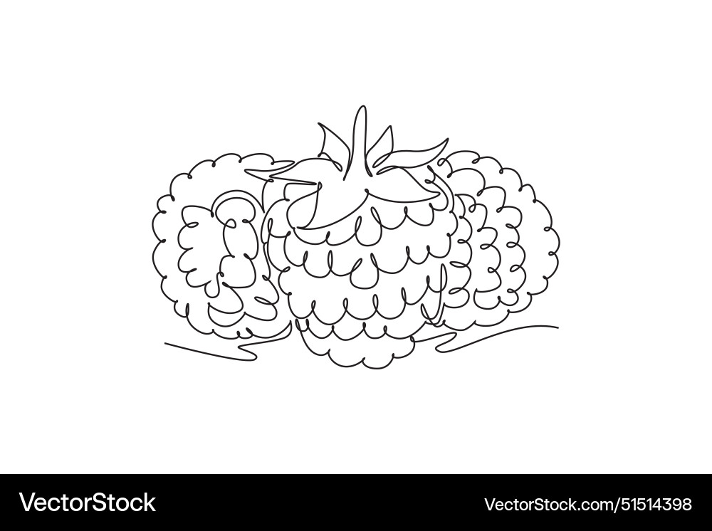 Single continuous line drawing whole healthy Vector Image