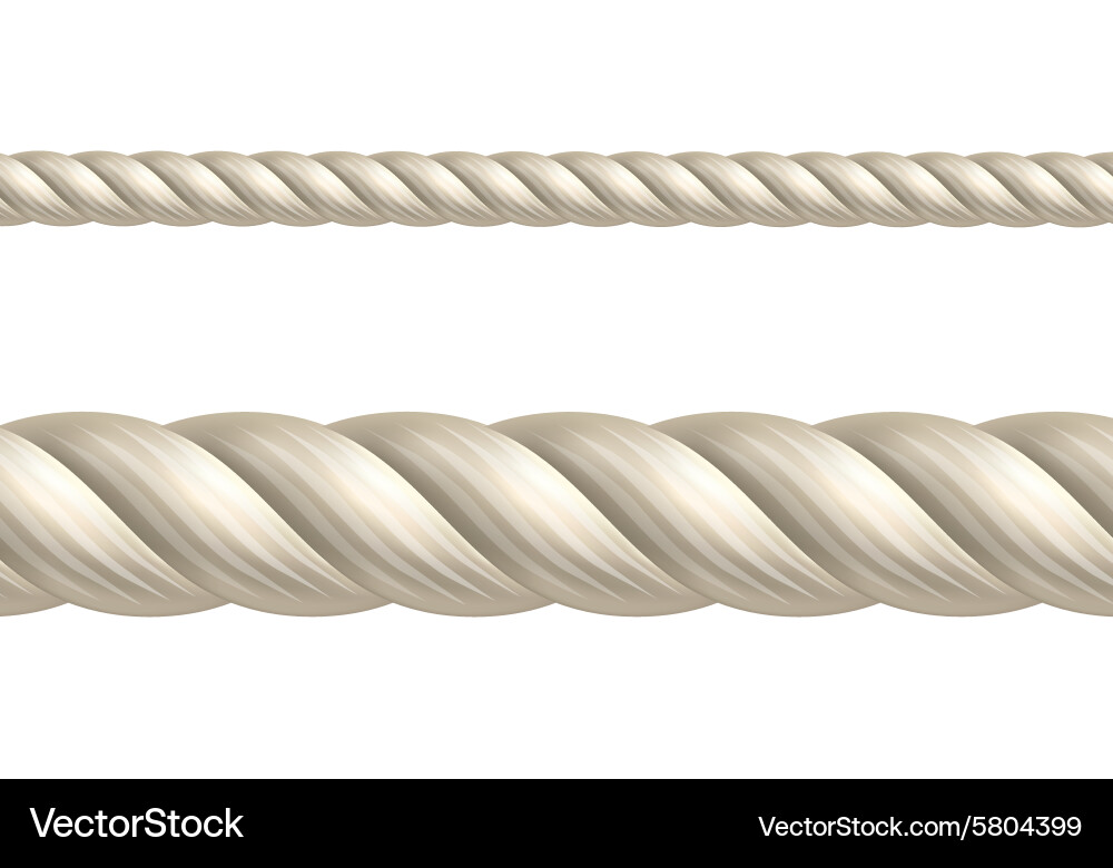 Detailed Rope Texture Royalty Free Vector Image