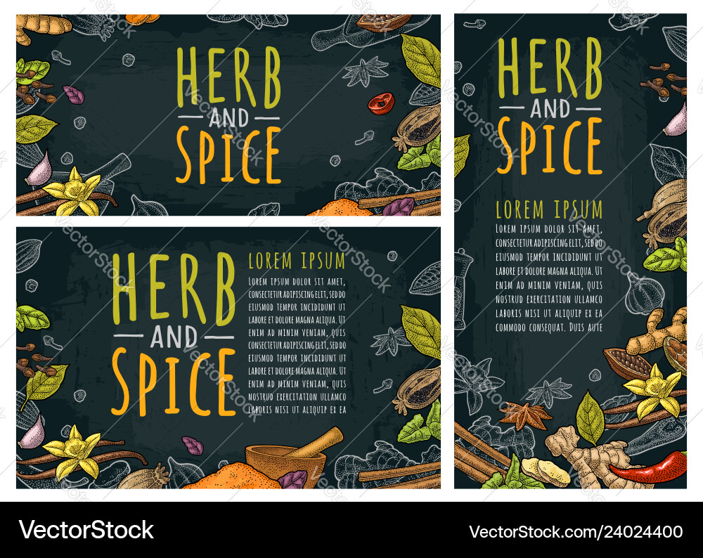 Herb and spice handwriting lettering set Vector Image