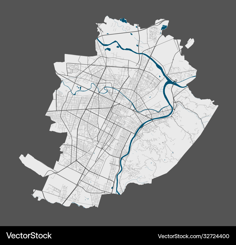 Turin map detailed city poster Royalty Free Vector Image