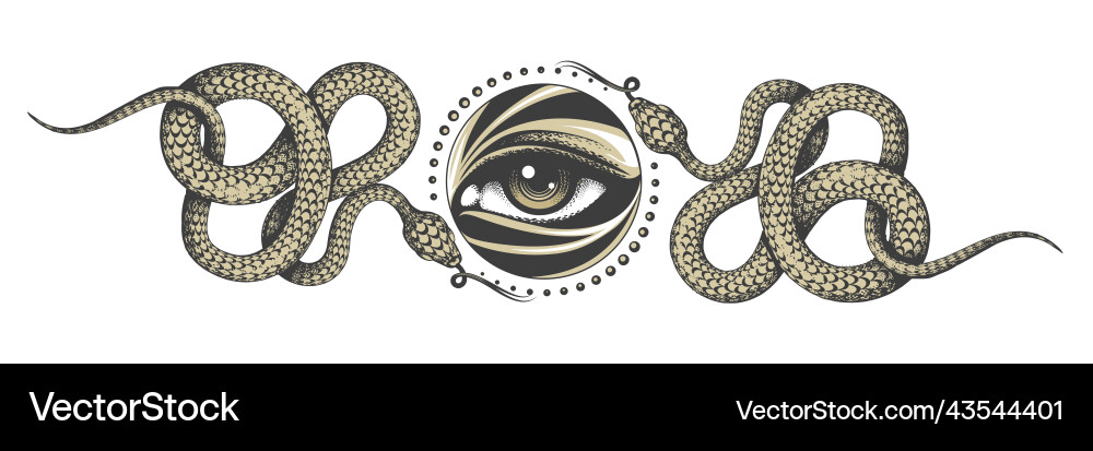All seeing eye and crawling snakes occultic Vector Image