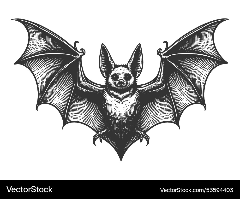 Bat with outstretched wings engraving Royalty Free Vector