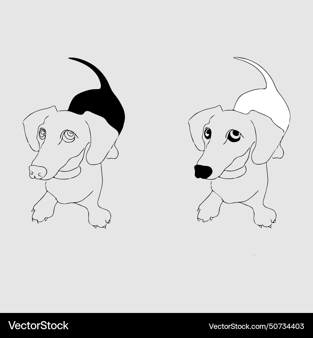 Dogs similar to each other Royalty Free Vector Image