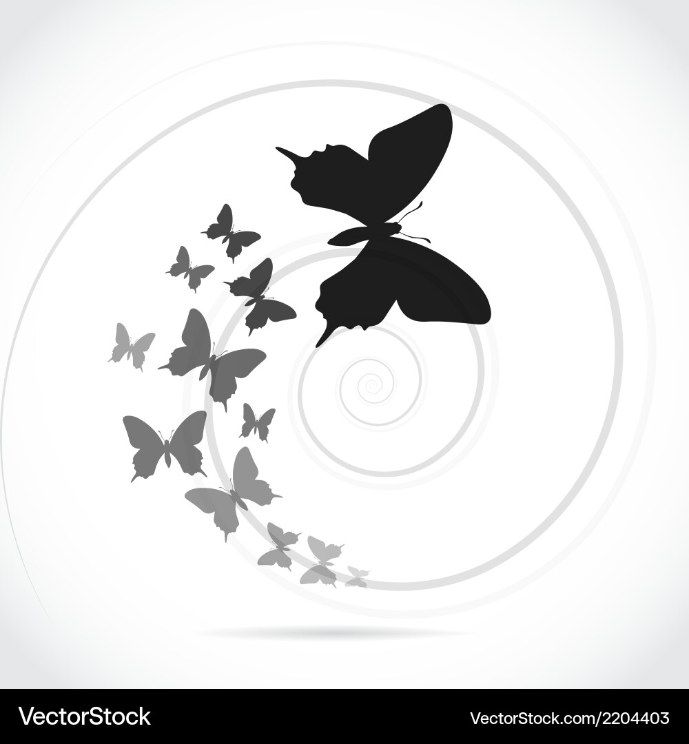 Elegant Butterfly Group Royalty Free Vector Image