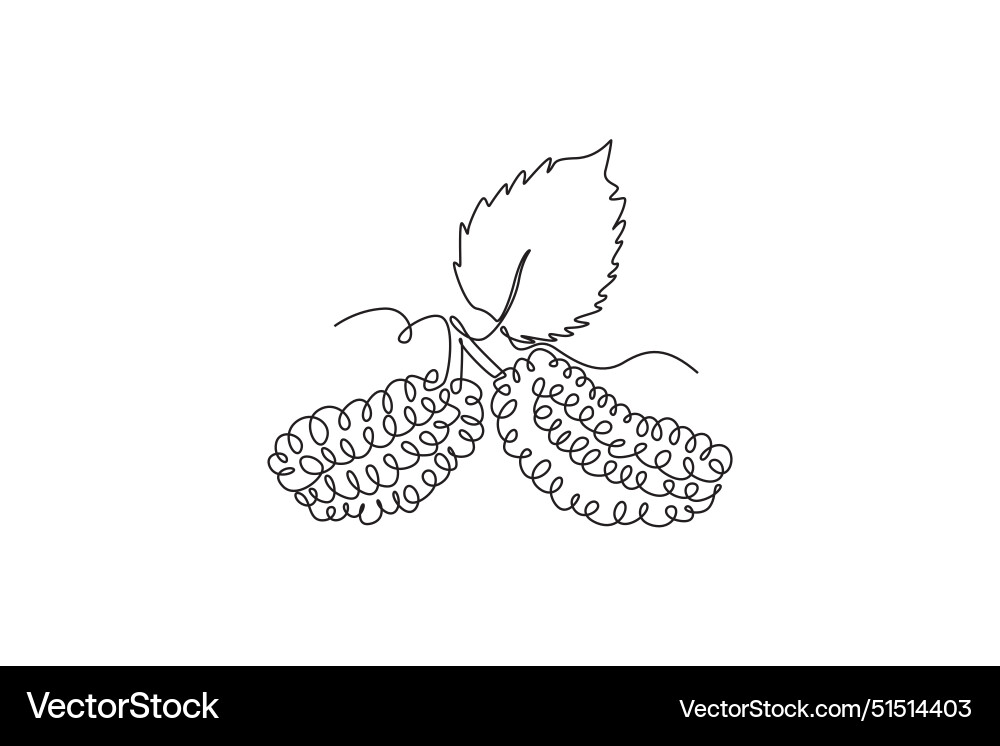 Single continuous line drawing of whole healthy Vector Image