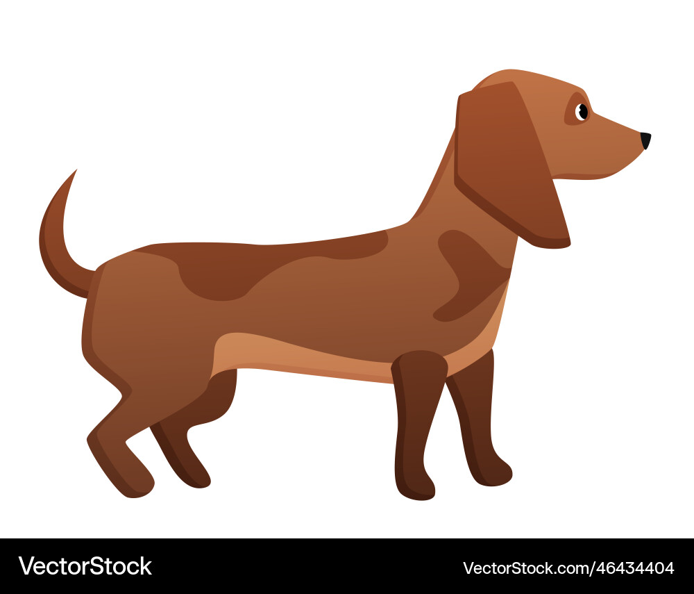 Dachshund dog breed Royalty Free Vector Image - VectorStock