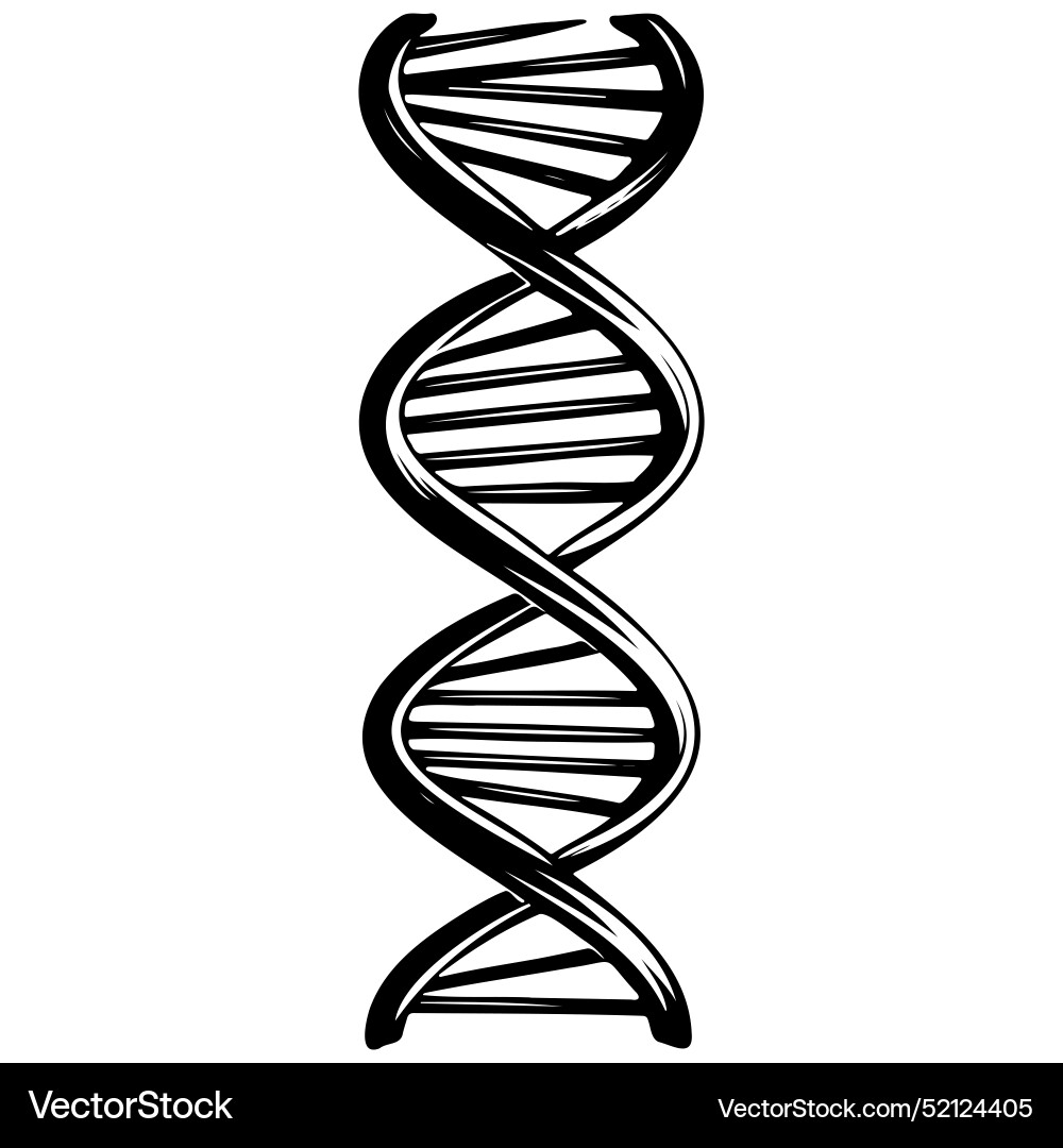 Black dna hand drawn line transparent Royalty Free Vector