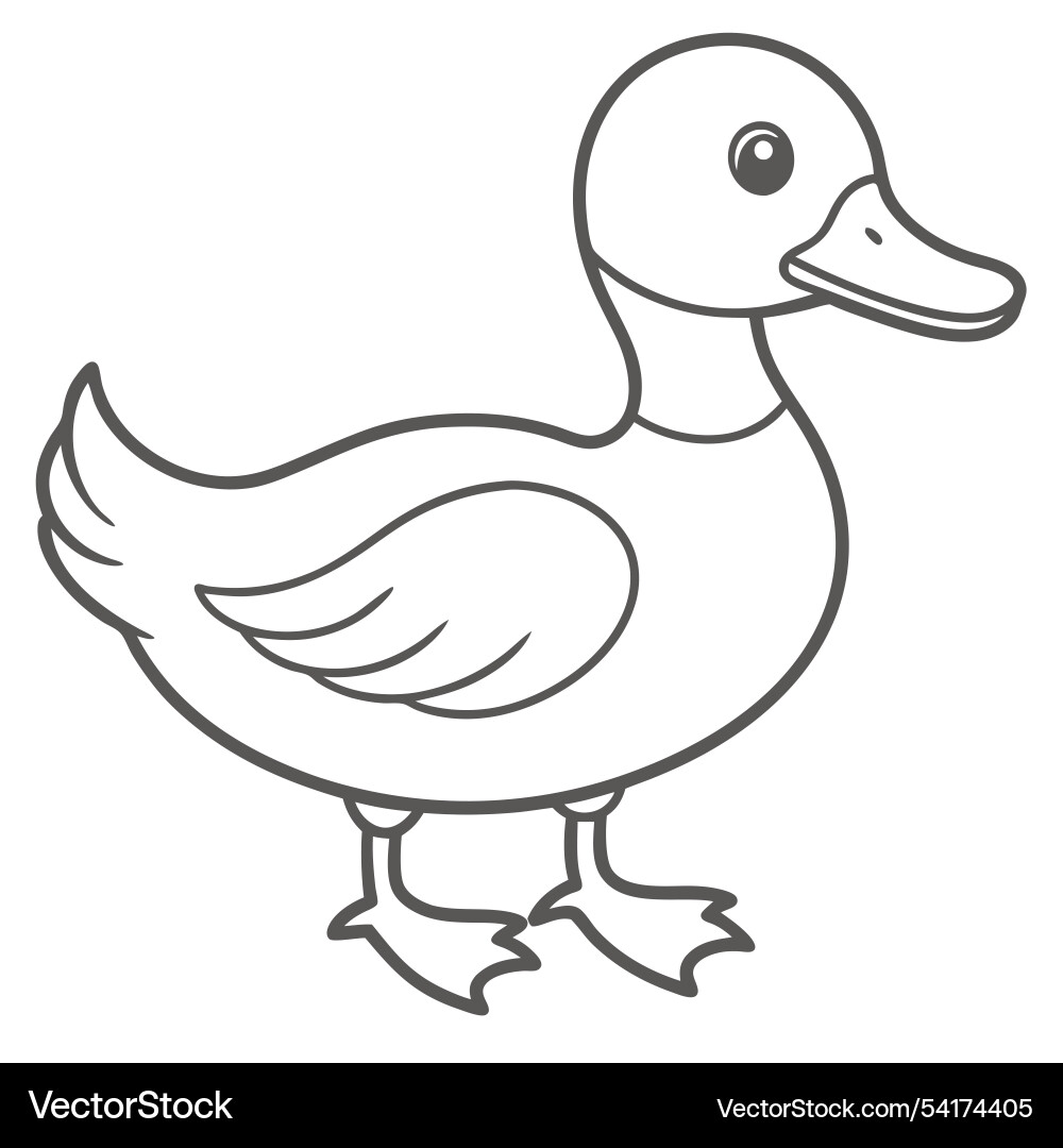 Easy duck outline for kids Royalty Free Vector Image