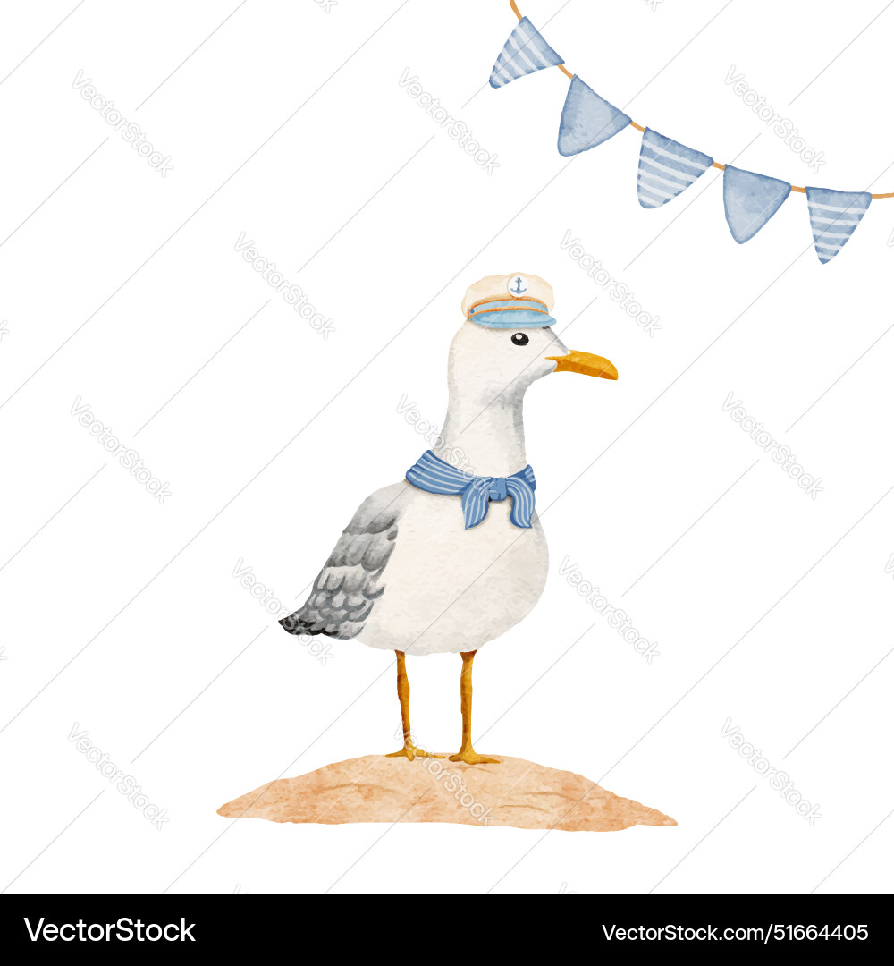 Watercolor seagull bird sailor or captain Vector Image