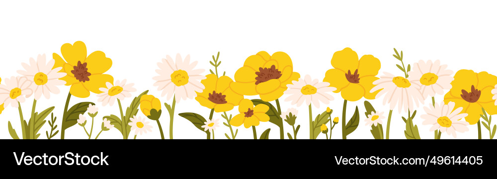 Wildflowers seamless border garden spring flowers Vector Image