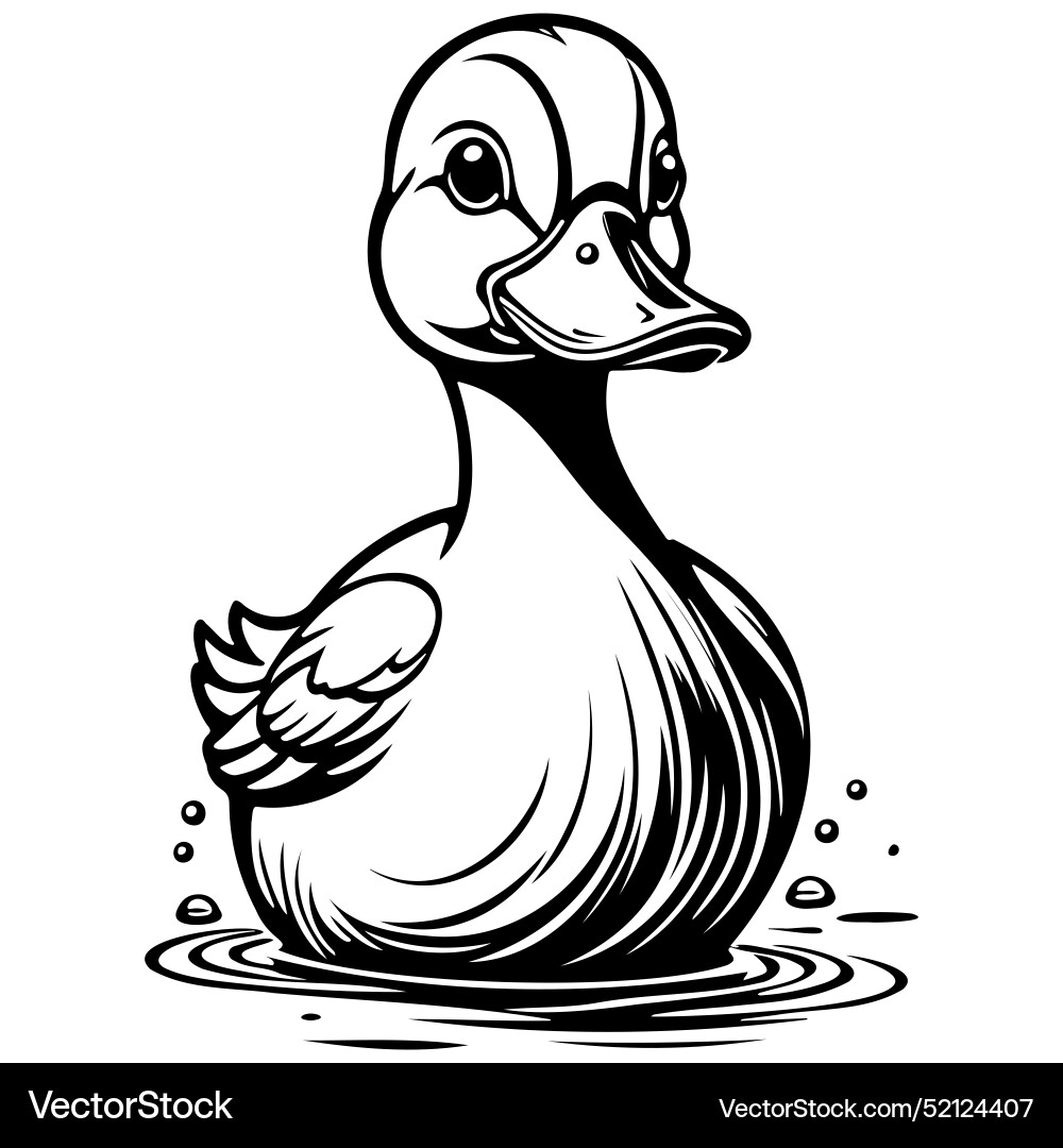 Black duck sketch realistic line monochrome Vector Image