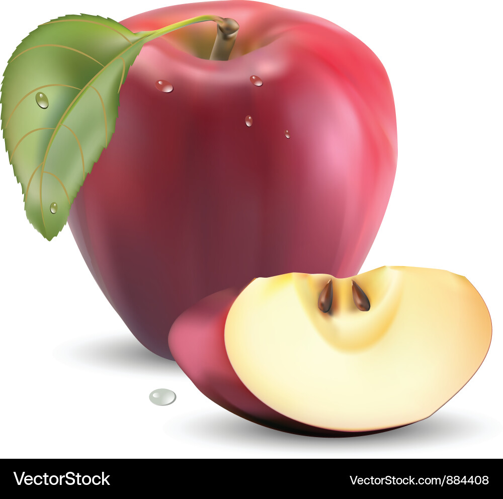 Apple Royalty Free Vector Image - VectorStock