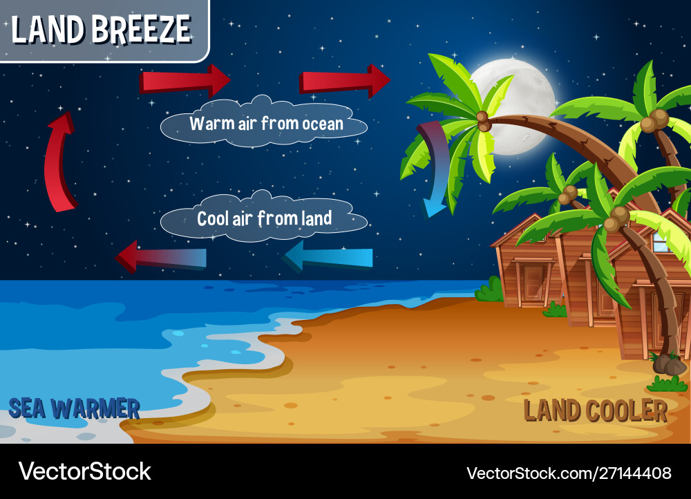 Diagram showing circulation land breeze Royalty Free Vector