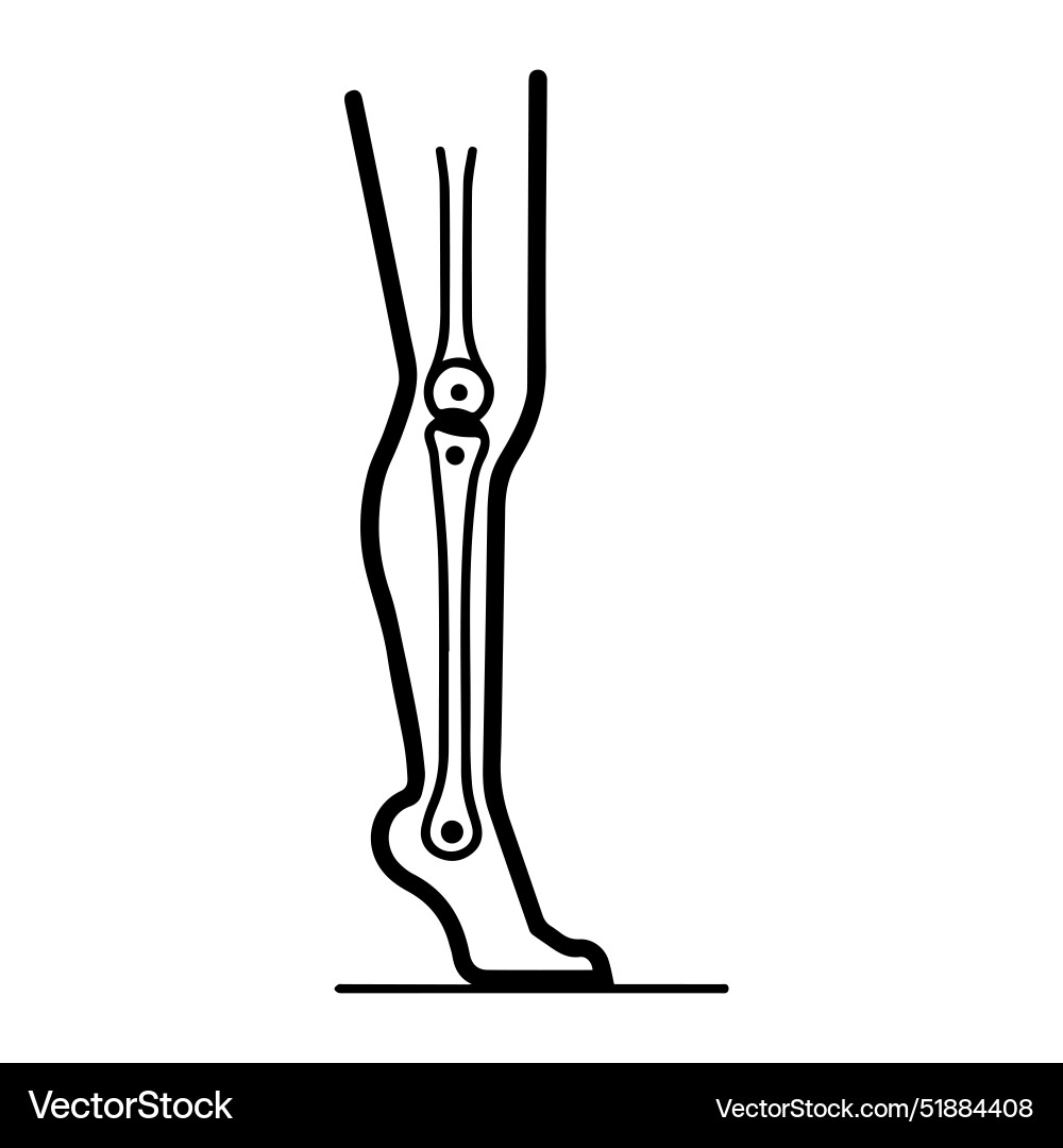 Leg icon or modern line symbol art Royalty Free Vector Image