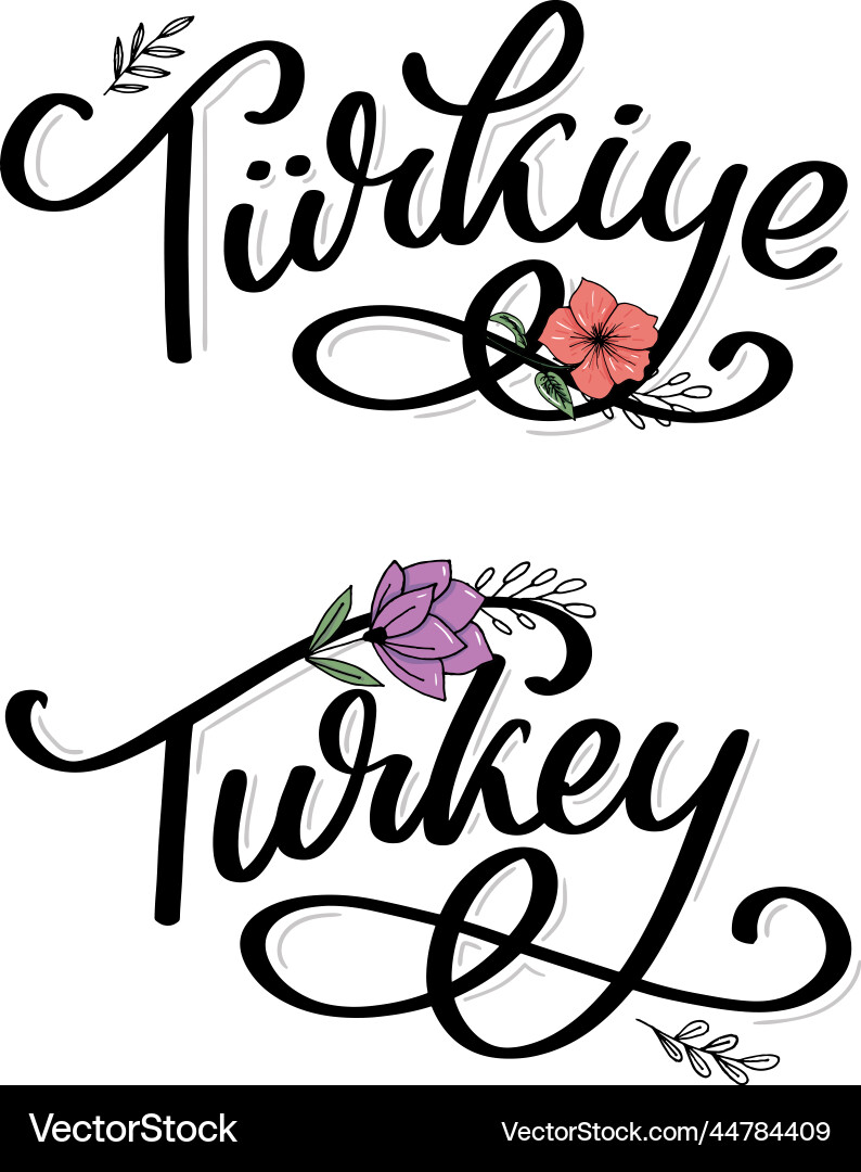 Text in the turkish turkey lettering handwritten Vector Image