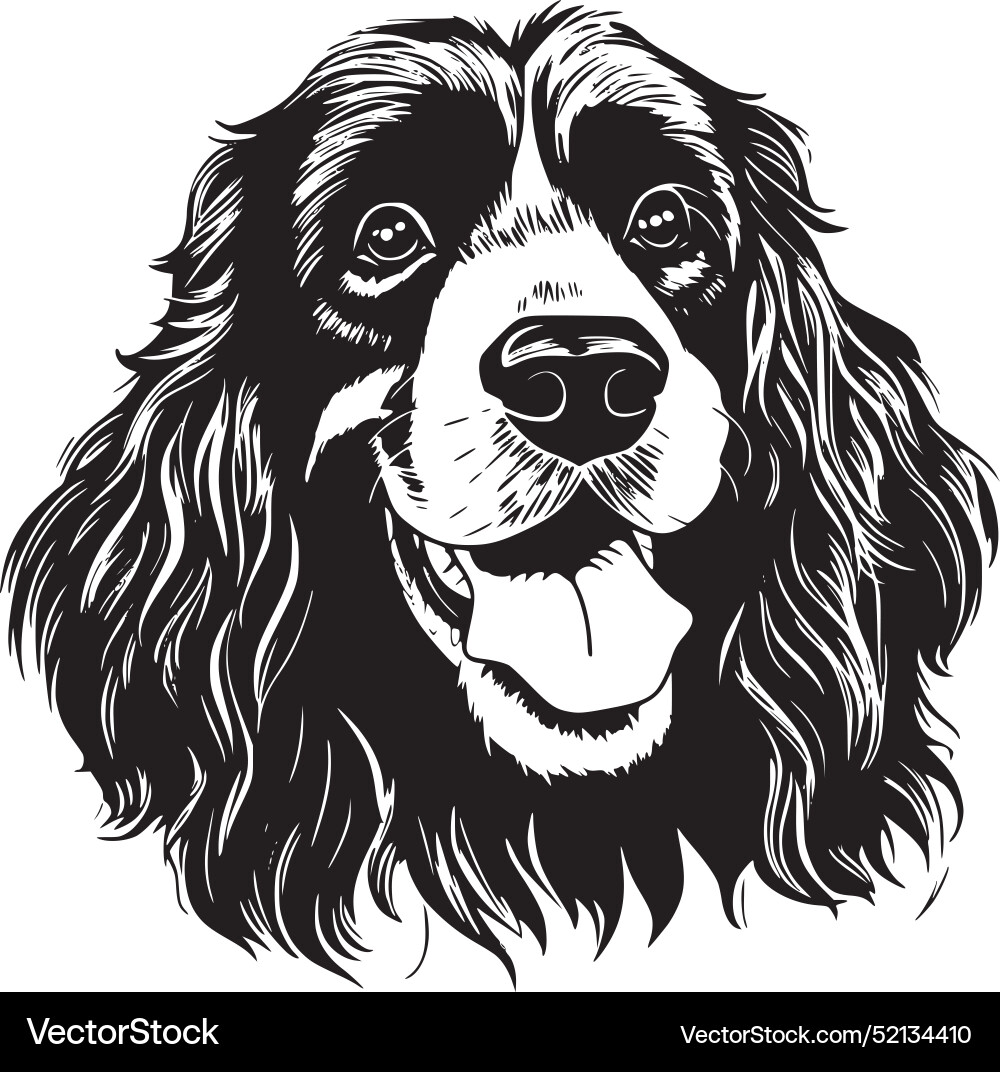 Cocker spaniel - black and white Royalty Free Vector Image