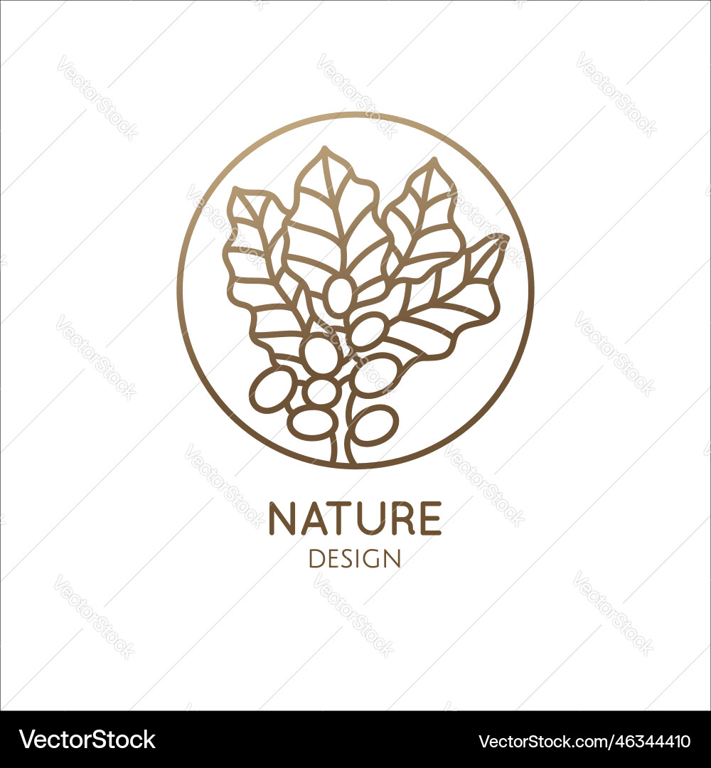 Coffee plant linear logo round emblem tree Vector Image
