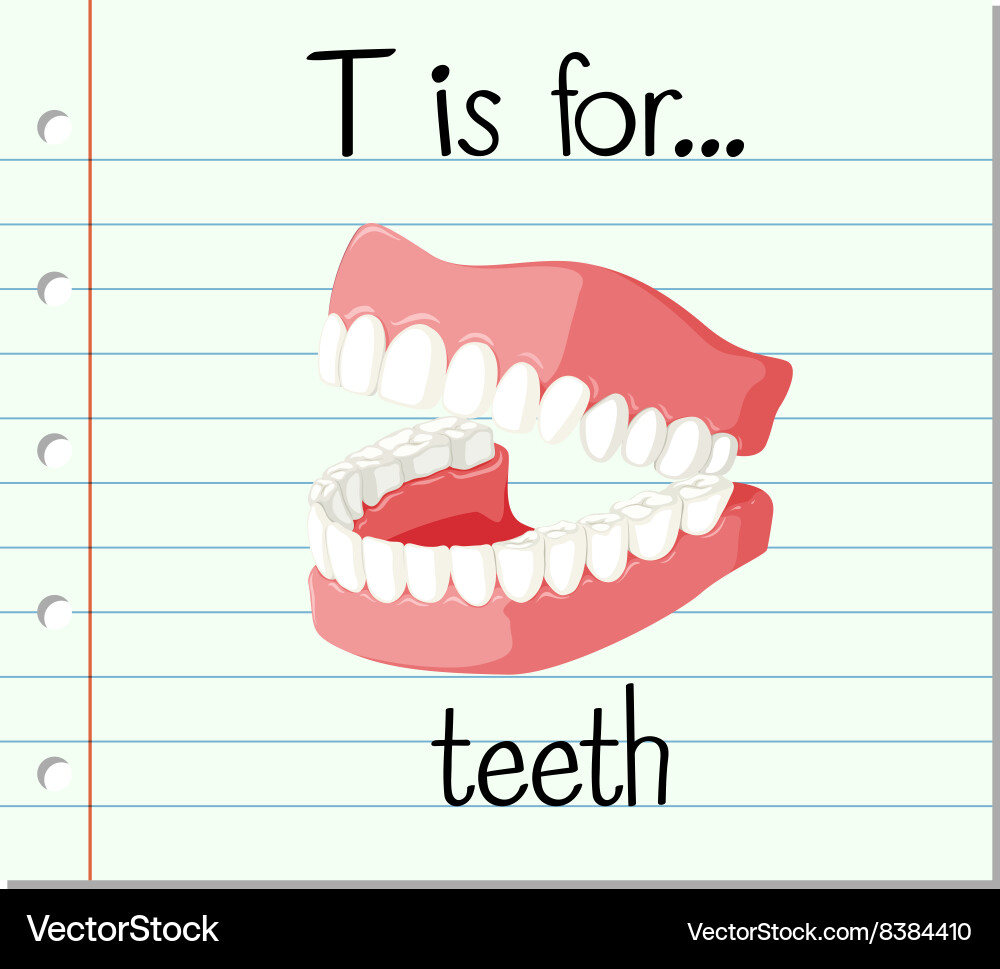 Flashcard letter t is for teeth Royalty Free Vector Image