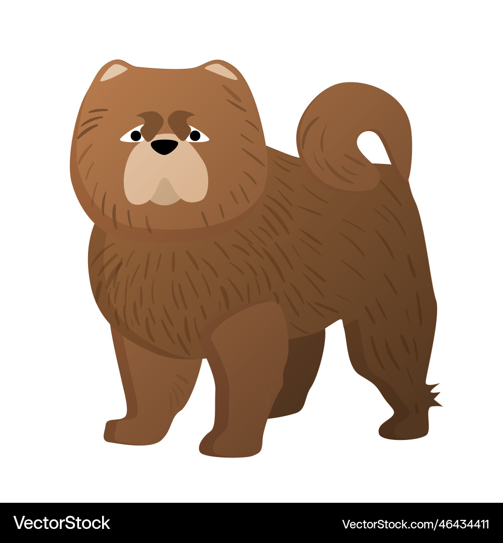 Chow dog Royalty Free Vector Image - VectorStock
