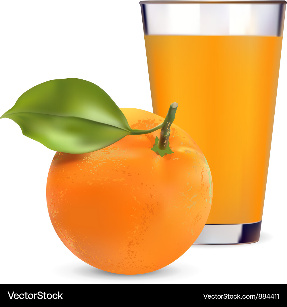 Orange juice Royalty Free Vector Image - VectorStock