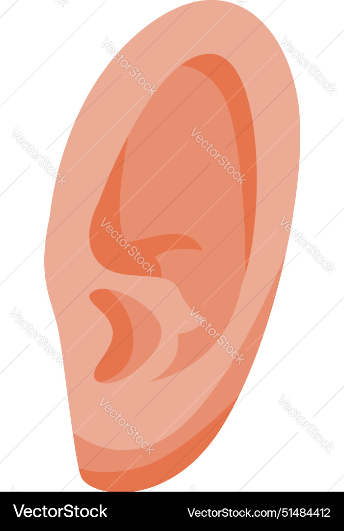 Detailed of a human ear Royalty Free Vector Image