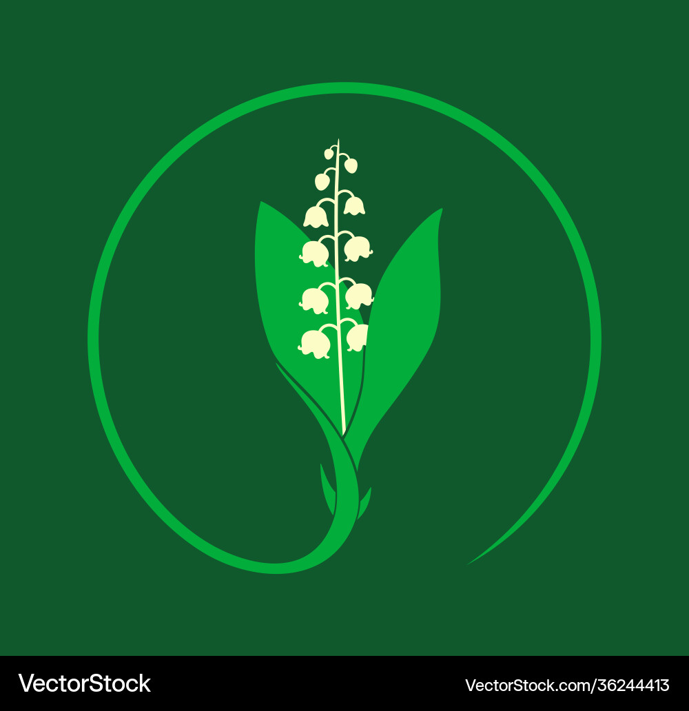 Lily valley Royalty Free Vector Image - VectorStock